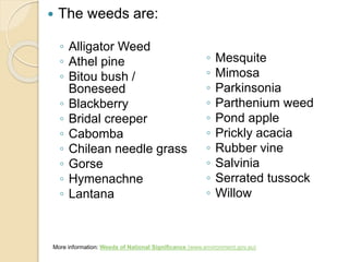 Weed classification for Primary Industries | PPT