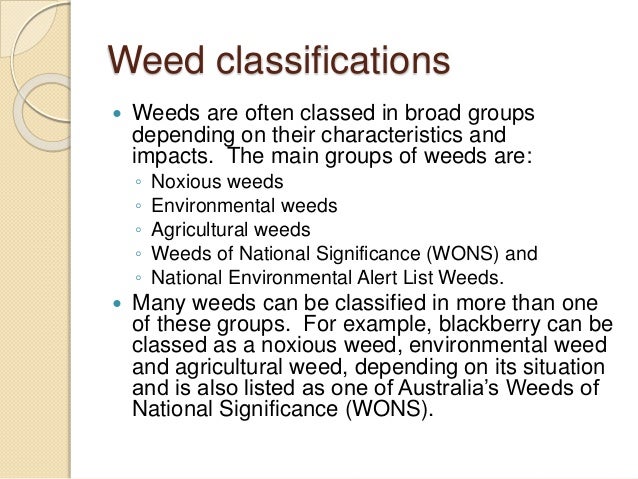 Weed classification for Primary Industries