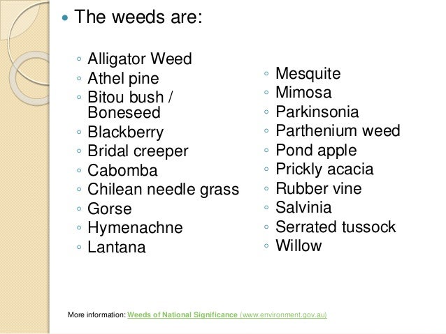 Weed classification for Primary Industries