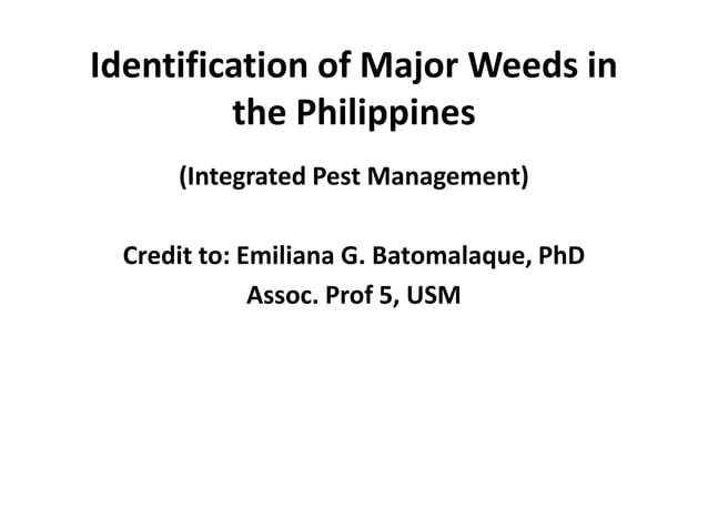 Weed Collection - Copy.pdf | Gardening | Home & Garden