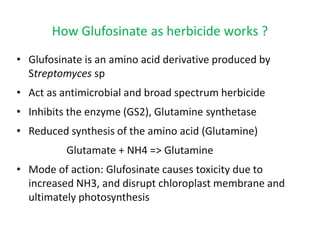 Biotechnological Approaches Of weed Management | PPTX