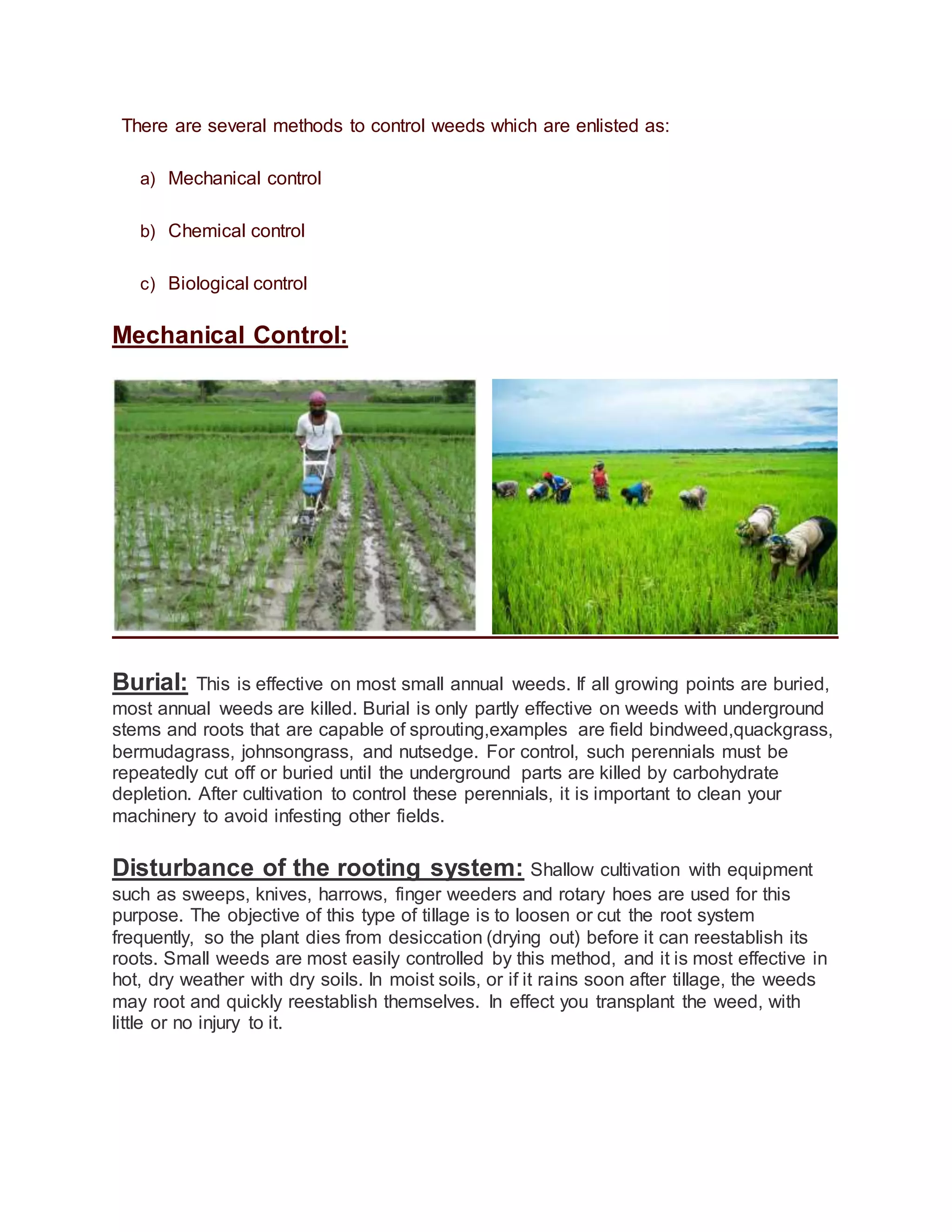 Weed control in vegetables. | DOCX