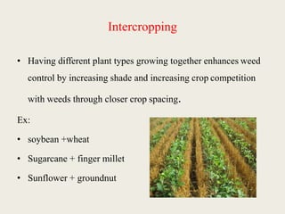 Weed control detail by farhan ahmad, Aup | PPTX
