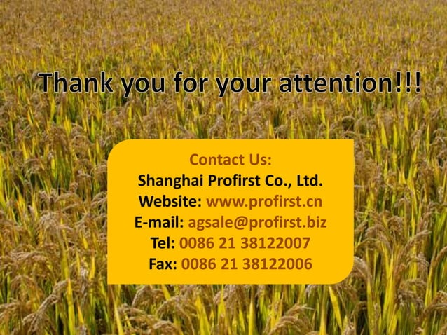 Weed Control in Rice Field | PPTX | Herbs and Supplements | Alternative ...