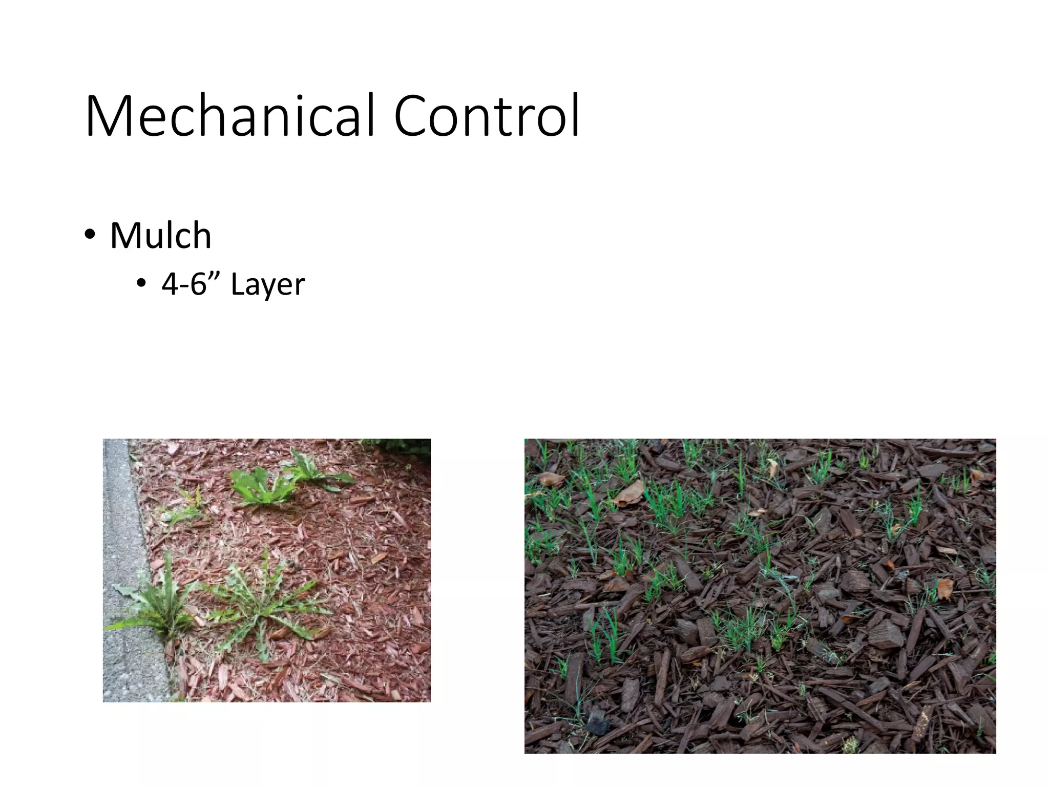 Weed Control Methods | PDF