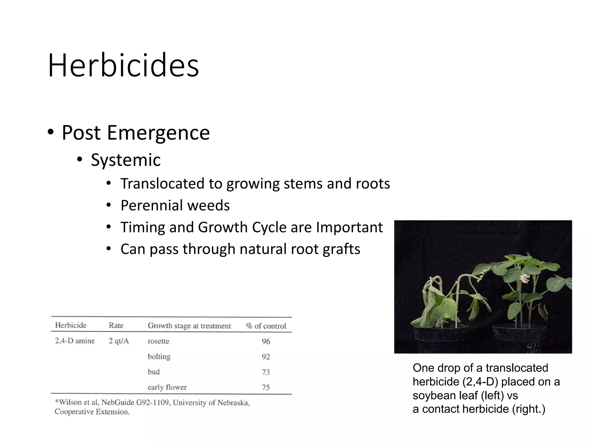 Weed Control Methods | PDF