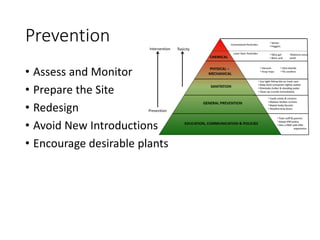 Weed Control Methods | PDF