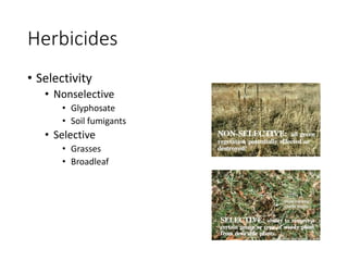 Weed Control Methods | PDF