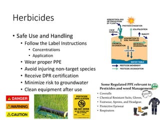 Weed Control Methods | PDF