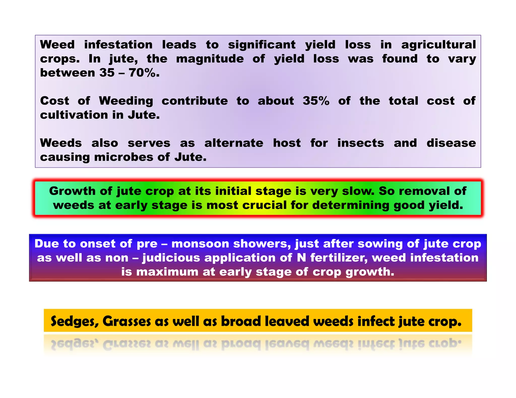 Weed control strategy in jute | PDF