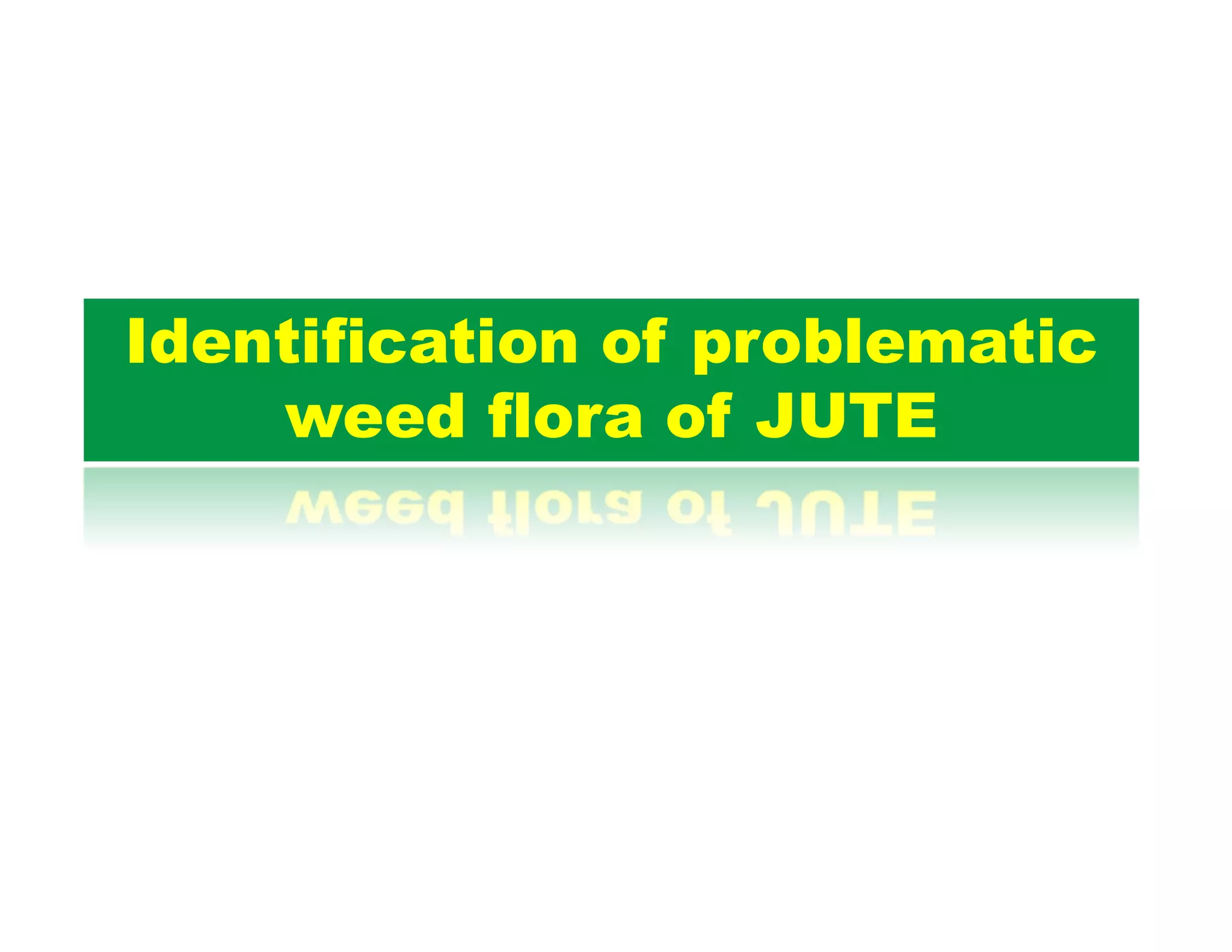 Weed control strategy in jute | PDF