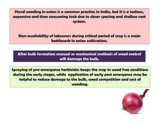 Weed control strategy in onion | PDF