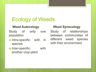Weed ecology and weed competition | PPTX