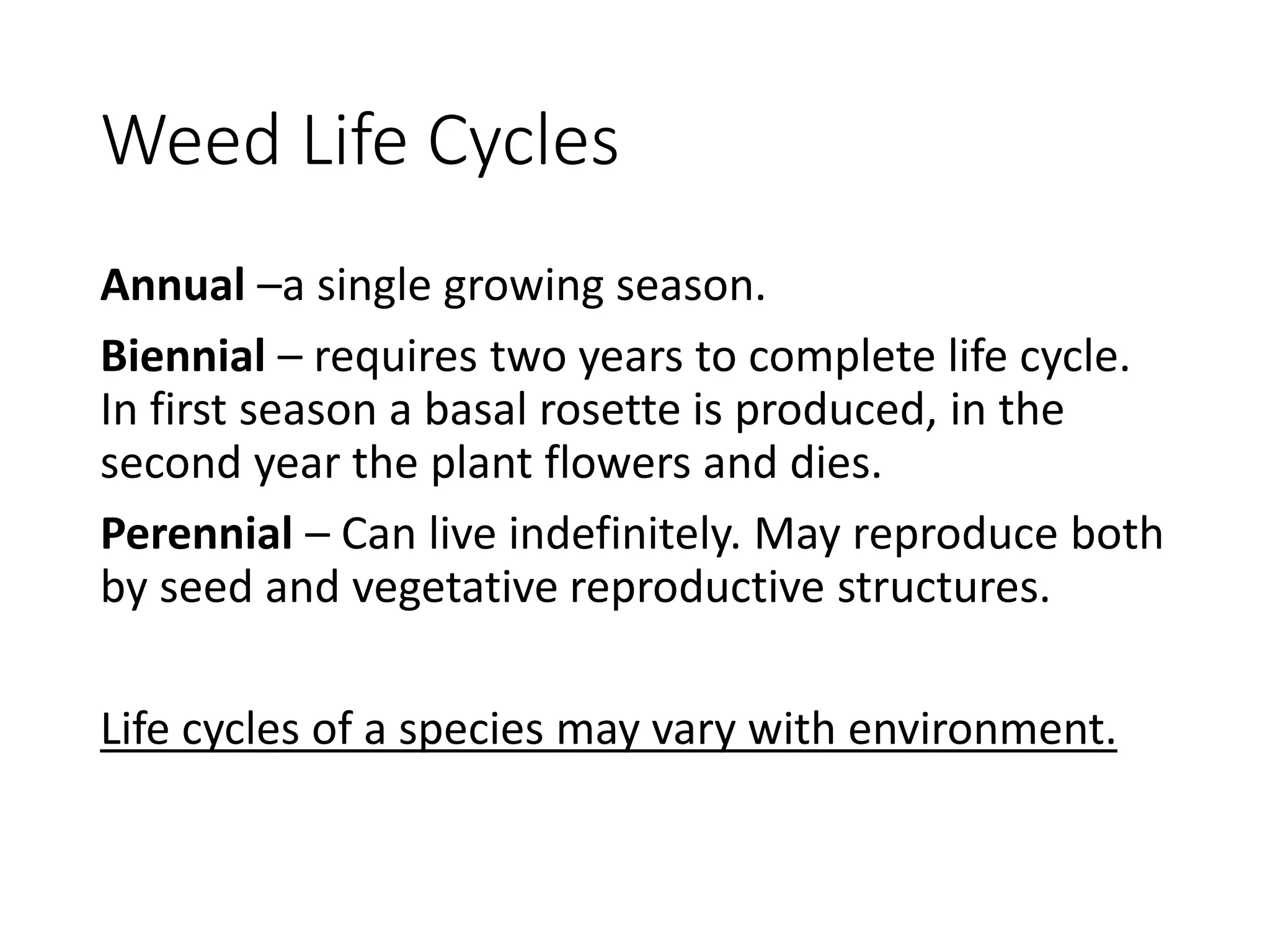 Weed ID and Life Cycle | PDF