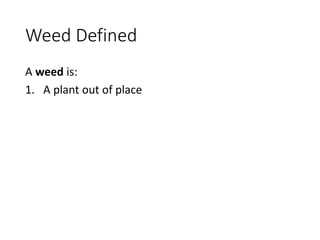 Weed ID and Life Cycle | PDF