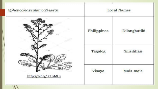 Weeding Methods in Agriculture and Crop.pptx | Agriculture | Industries