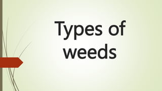 Weeding Methods in Agriculture and Crop.pptx