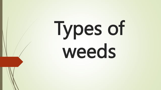 Weeding Methods in Agriculture and Crop.pptx | Agriculture | Industries