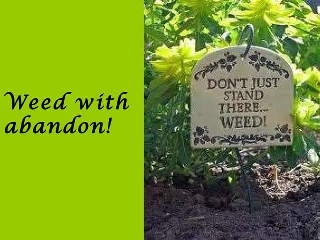 Weeding and Growing the Garden of Your Library | PPT | Gardening | Home ...