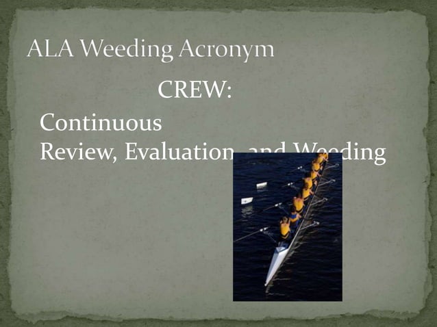 Weeding the Groeschel Elementary School Library | PPT