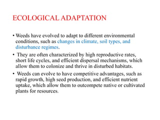weed_management.pptx
