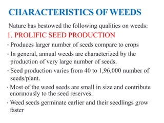 weed_management.pptx
