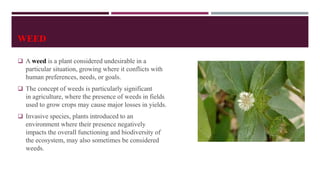Weed management.pptx