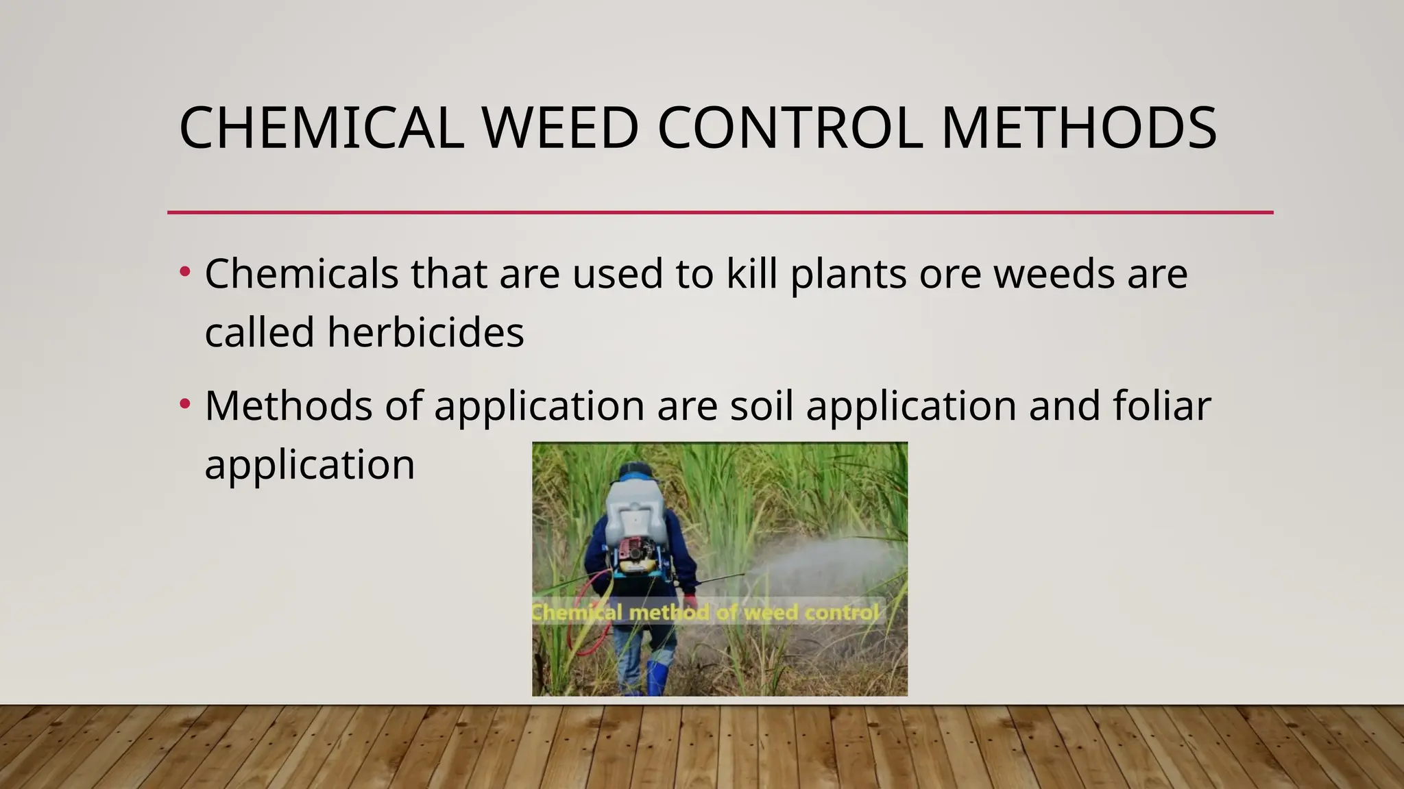 weed management.pptx for agriculture studies | PPTX