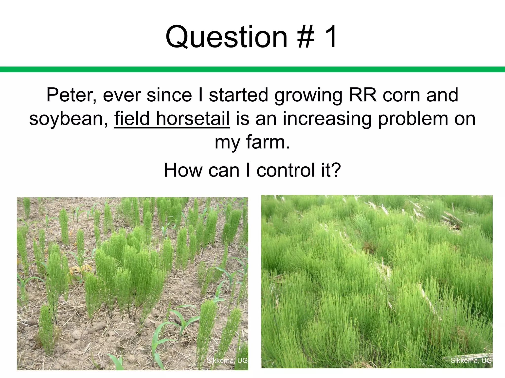 Weed Management - Peter Sikkema - 4 | PDF