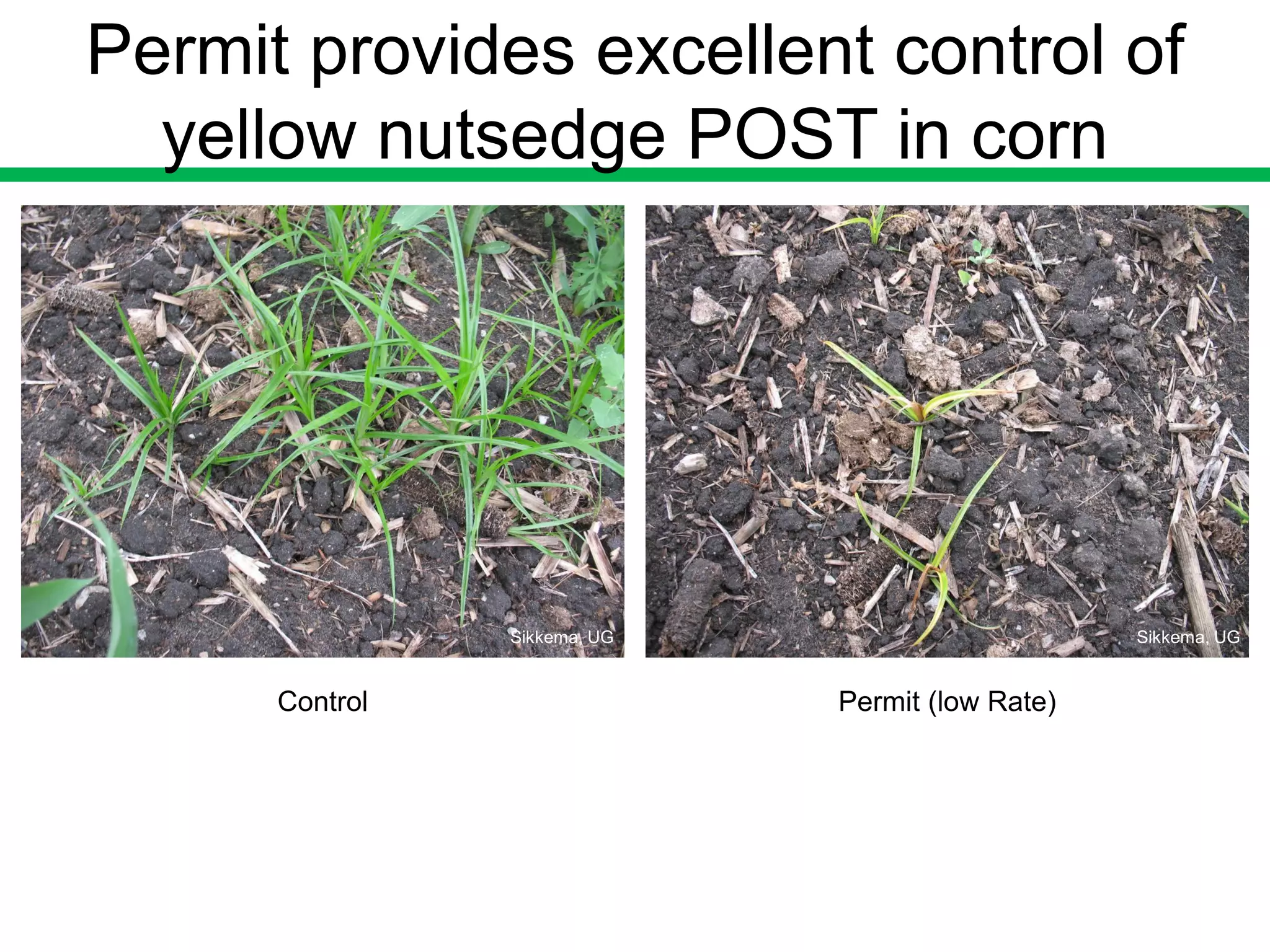 Weed Management - Peter Sikkema - 4 | PDF