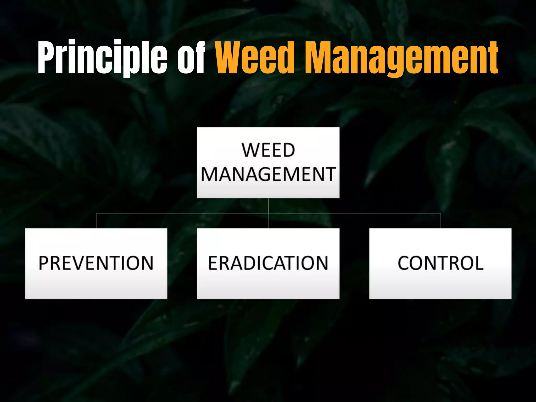 Weed management | PPTX