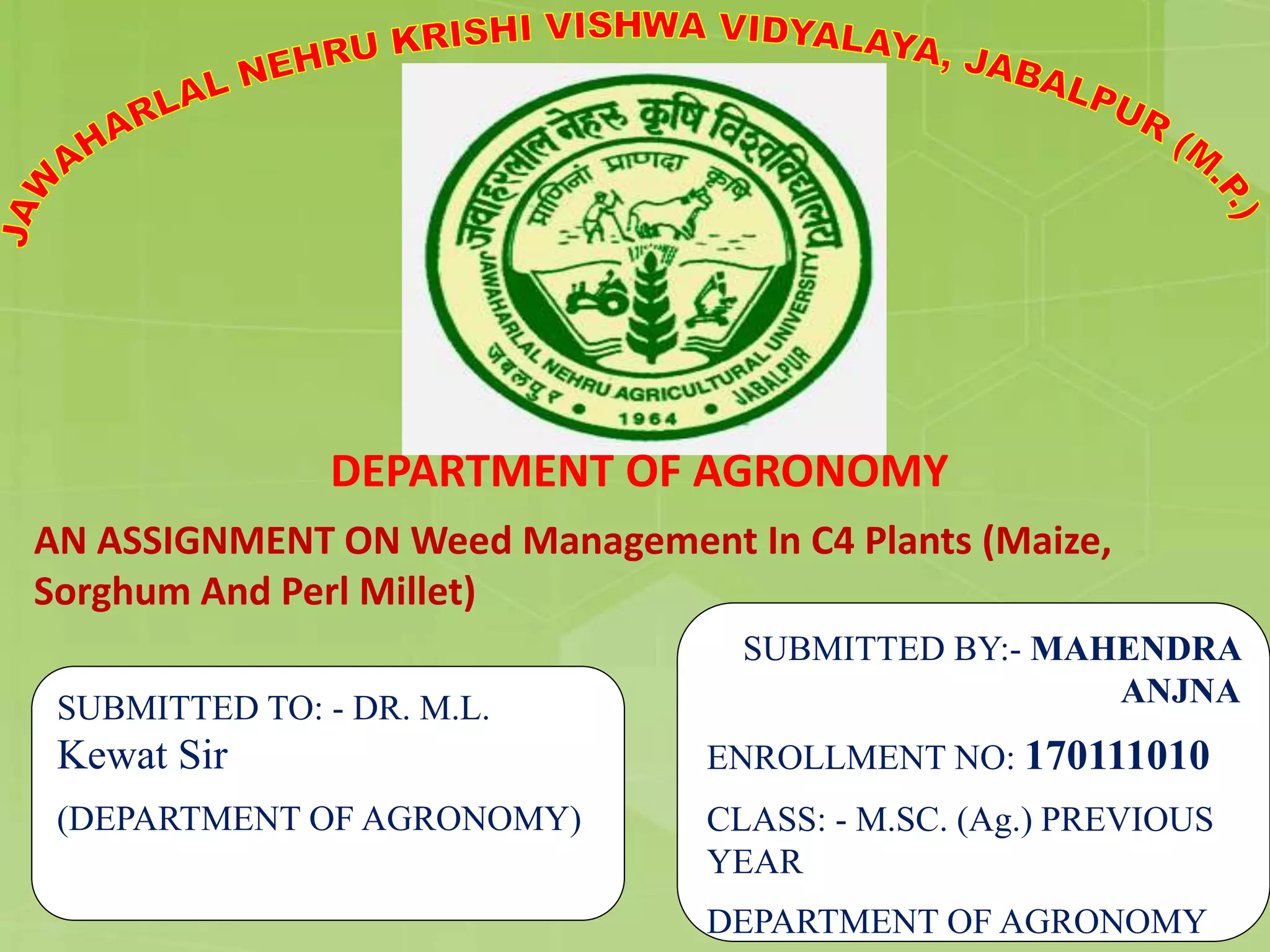 Weed management in maize,sorghum&perl millet plants | PPTX