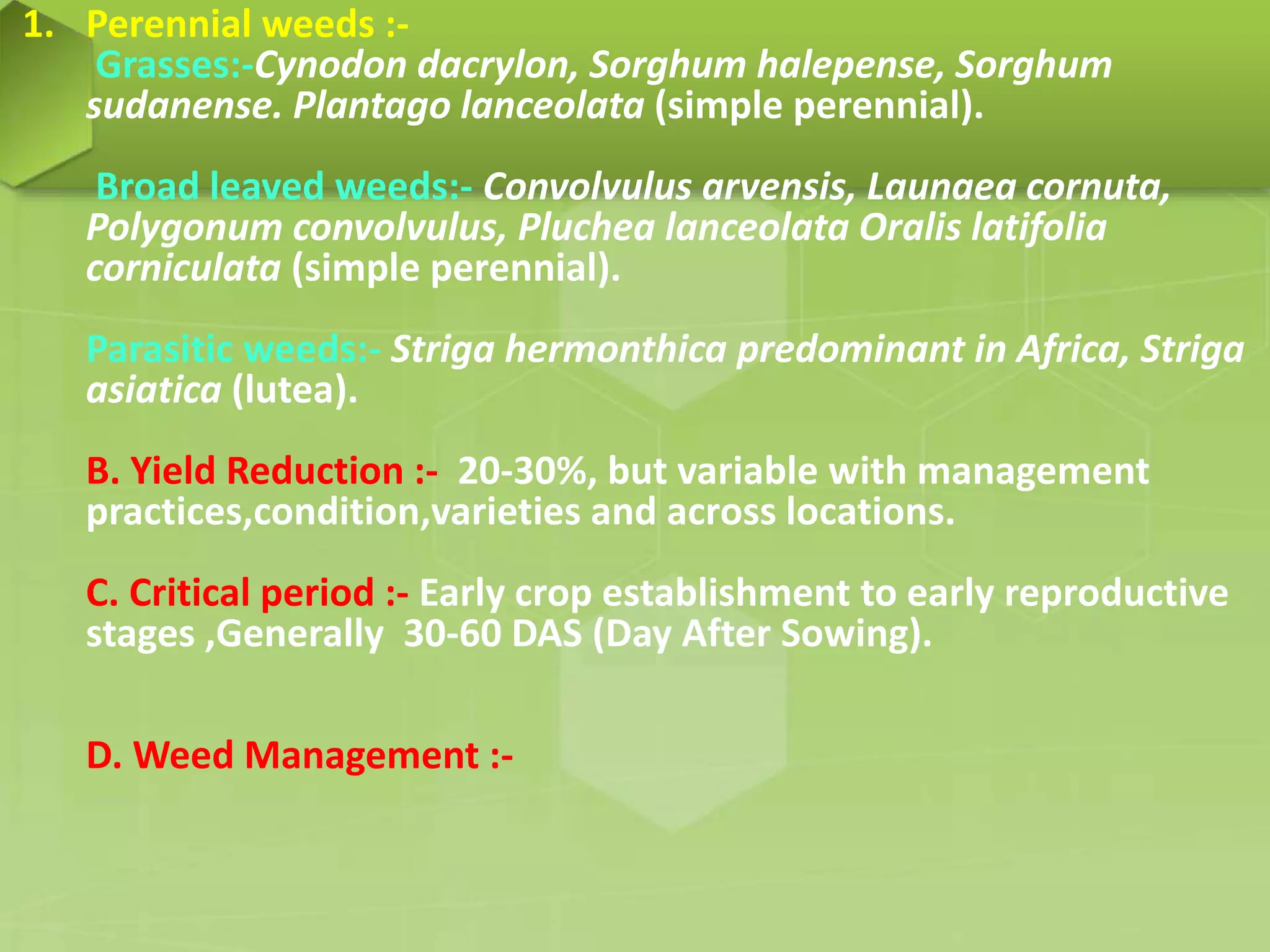 Weed management in maize,sorghum&perl millet plants | PPTX