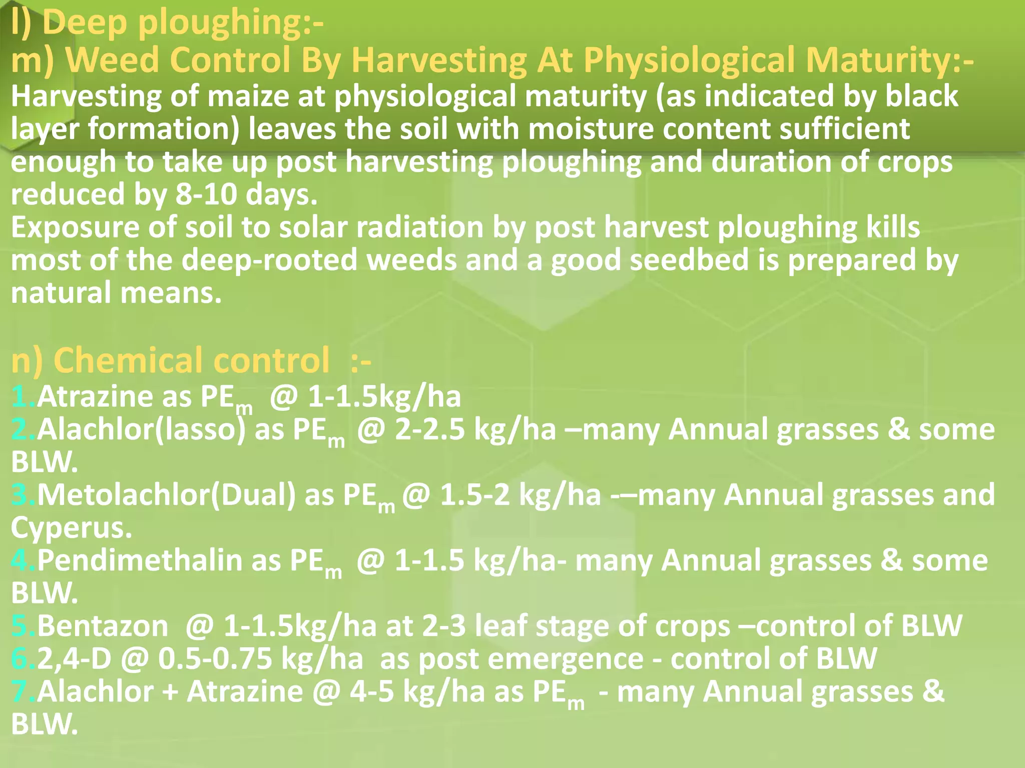 Weed management in maize,sorghum&perl millet plants | PPTX