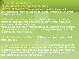 Weed management in maize,sorghum&perl millet plants | PPTX