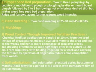 Weed management in maize,sorghum&perl millet plants | PPTX