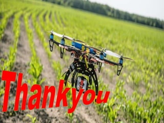 Weed management in maize,sorghum&perl millet plants | PPTX