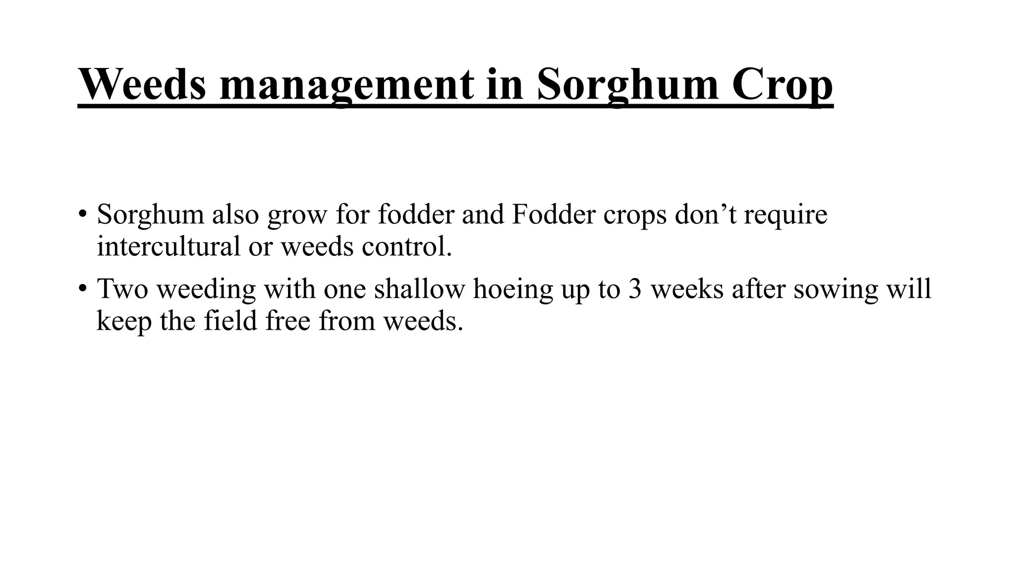 Weed management in cereal crops, Weeds Control | PPTX