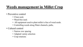 Weed management in cereal crops, Weeds Control | PPTX