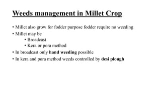 Weed management in cereal crops, Weeds Control | PPTX