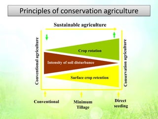 Weed management in conservation agricultural systems | PPTX