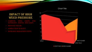 Weed management practices in organic agriculture | PPTX