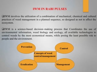 Weed management in rabi pulses | PPT