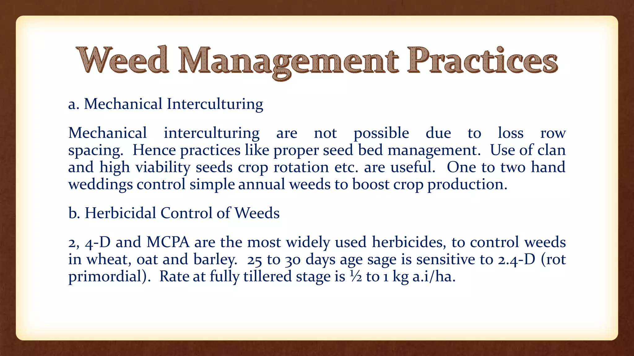 Weed management in wheat | PPTX