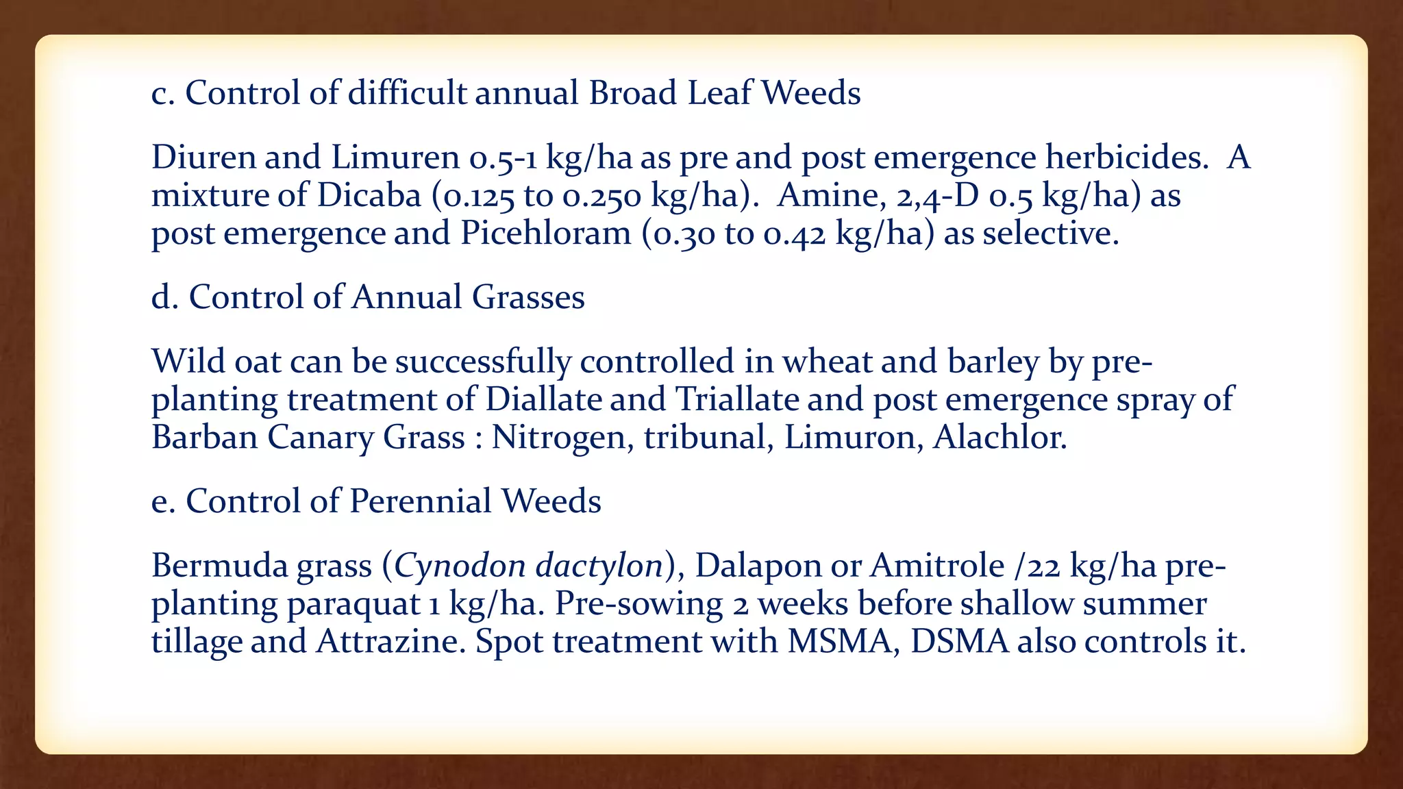 Weed management in wheat | PPTX