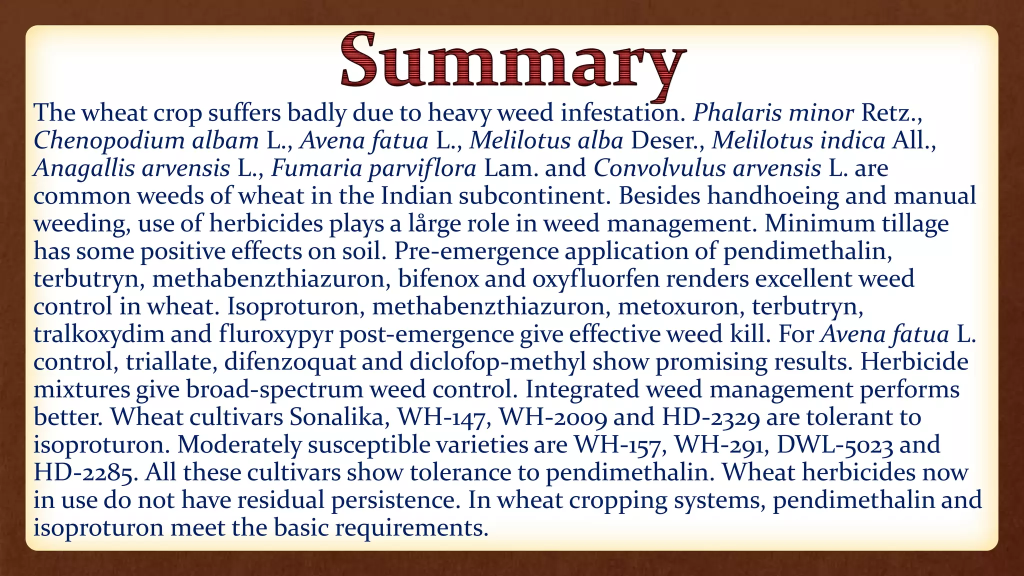 Weed management in wheat | PPTX