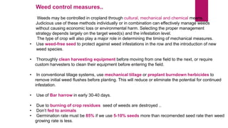 Weed management in wheat | PDF