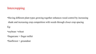 Organic farming Weed Management organic Farming.pptx