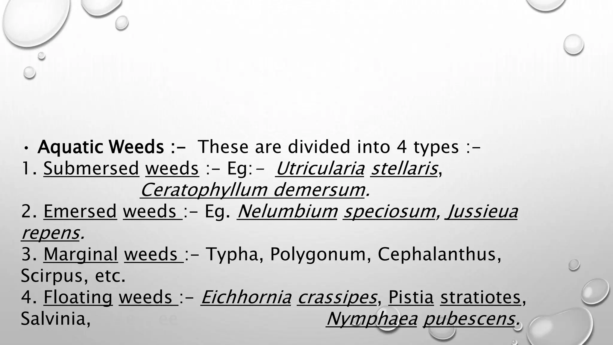 weed management ppt.pptx