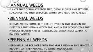 weed management ppt.pptx